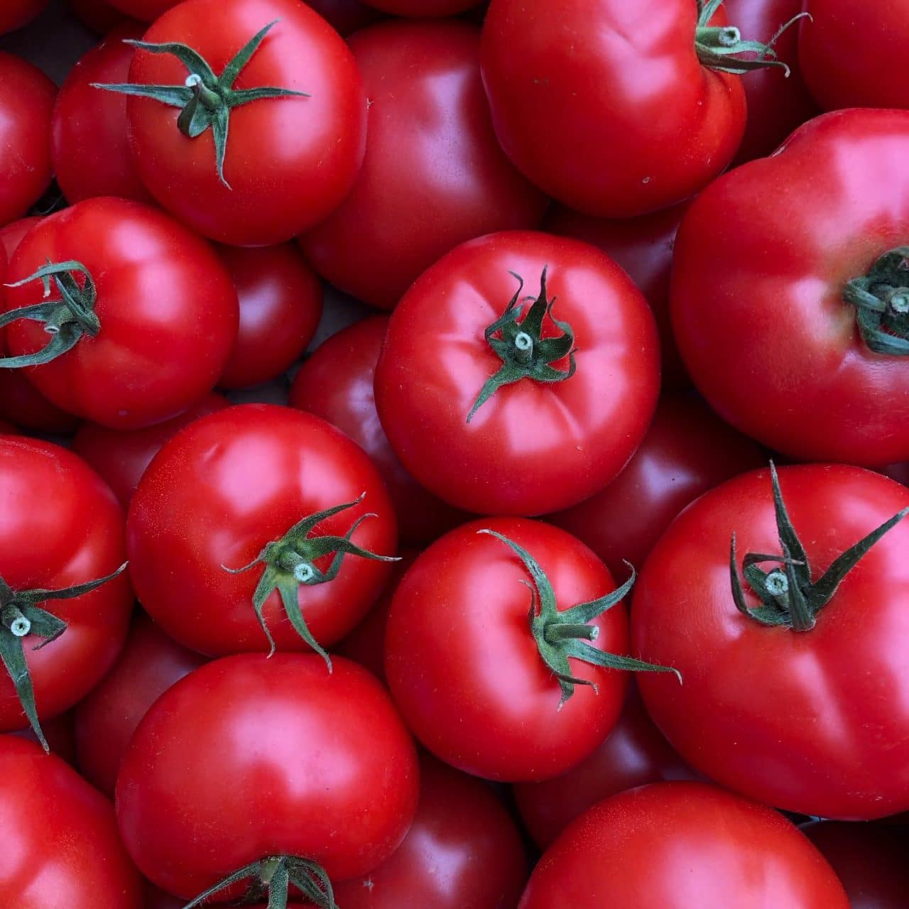 Good Food Box | Fresh, Affordable Produce for Pickup & Delivery